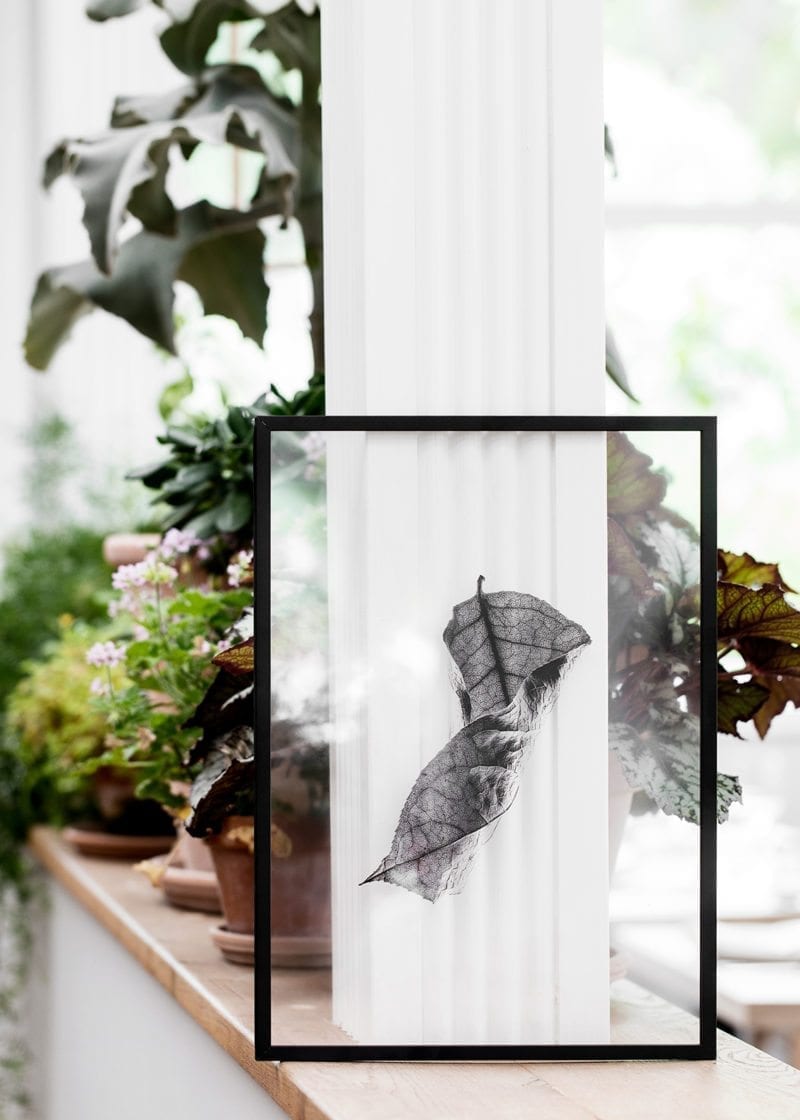 Paper Collective, Norm, Moebe, Floating Leaves 01 - THE POSTER CLUB