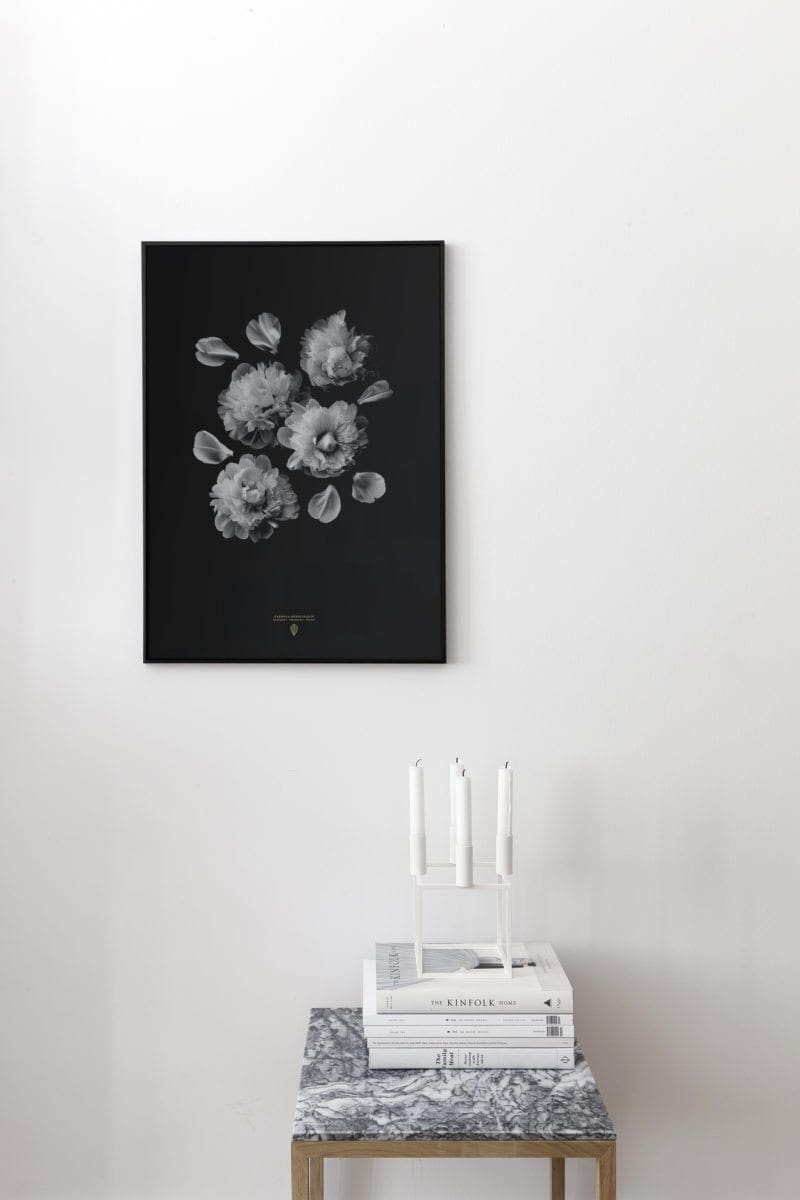 Coco Lapine, Paeonia Officinalis poster - THE POSTER CLUB