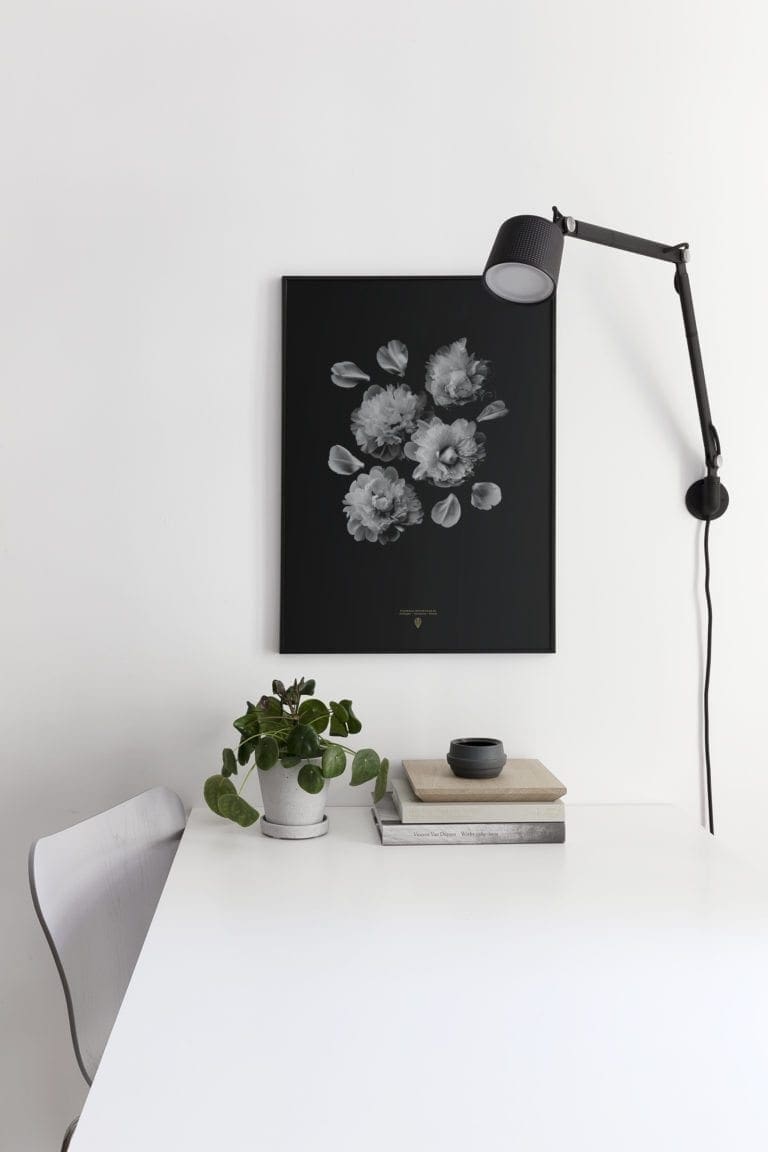 Coco Lapine, Paeonia Officinalis poster - THE POSTER CLUB