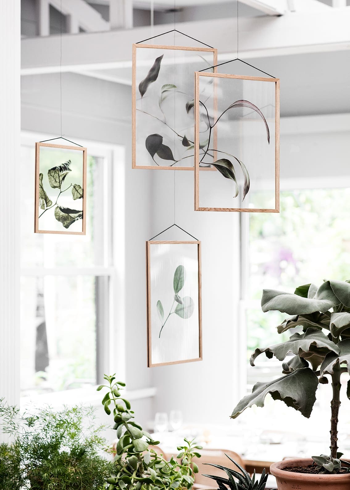 Frames by Moebe