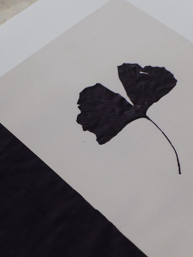 Ana Frois, Black Ginkgo art print - exclusively for The Poster Club