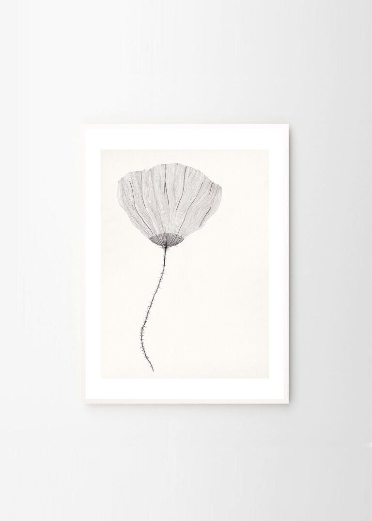 Ana Frois, Poppy art print - exclusively for The Poster Club.