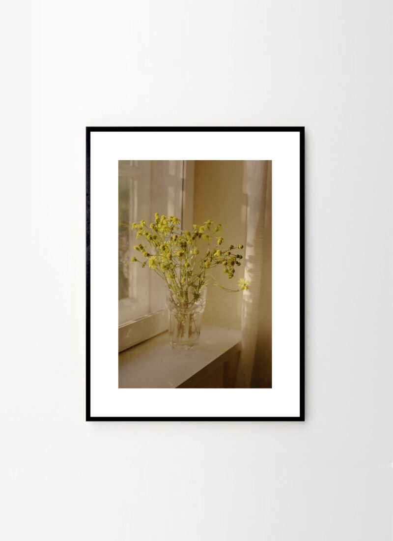 Ana Santl, Warmth - Fine Photo Art print - The Poster Club