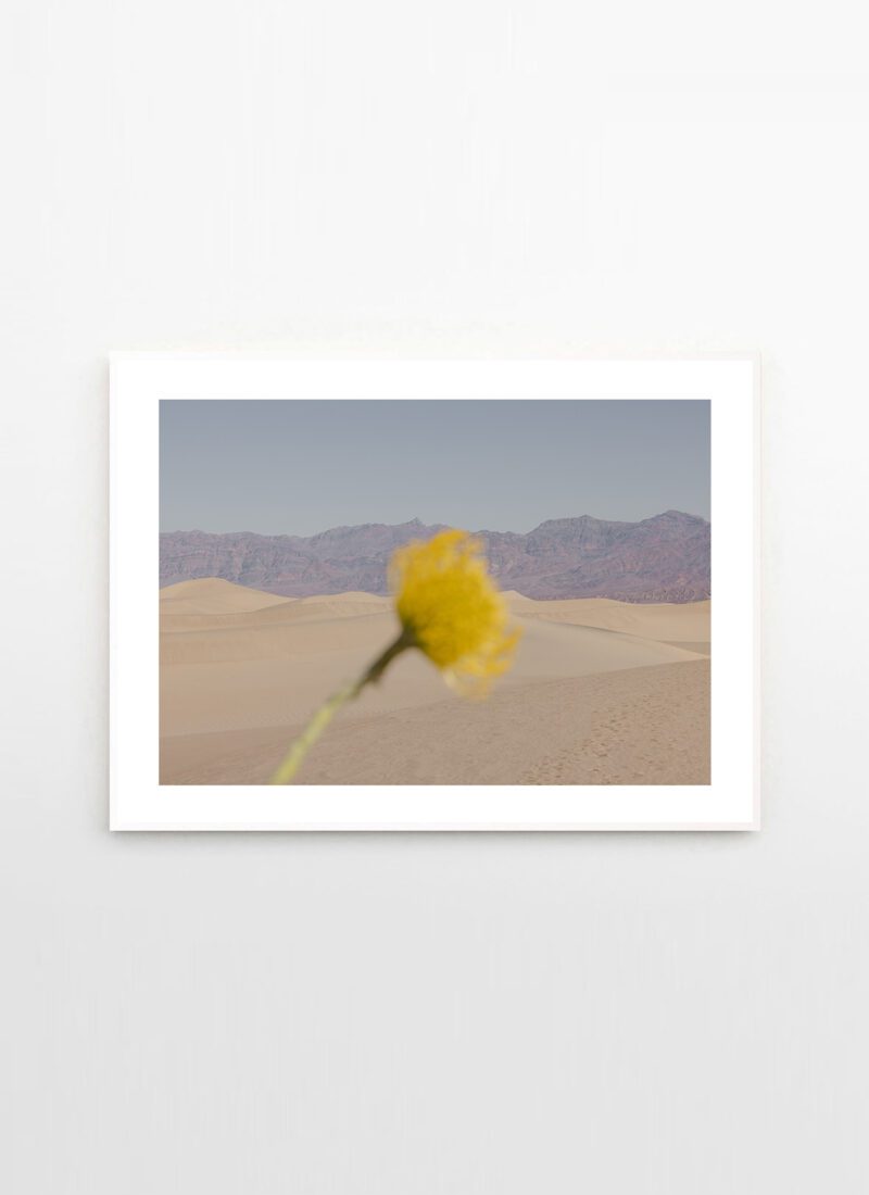 Nicole Mason, 'Desert Mirage' art print - THE POSTER CLUB