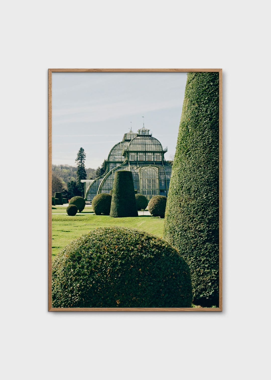 Laura Short, Topiary fine art print - The Poster Club